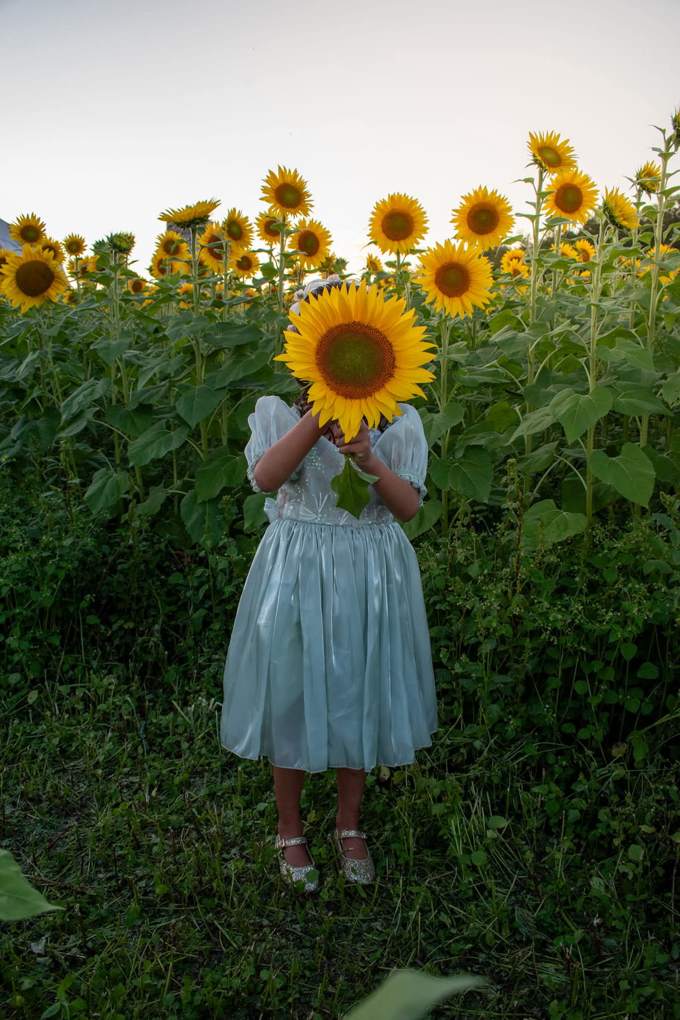 Sunflower Sessions – October 4th! ($25.00 Retainer $200 Total)